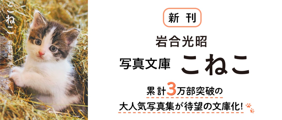 【新刊】岩合光昭写真文庫『こねこ』 | Crevis Online Store
