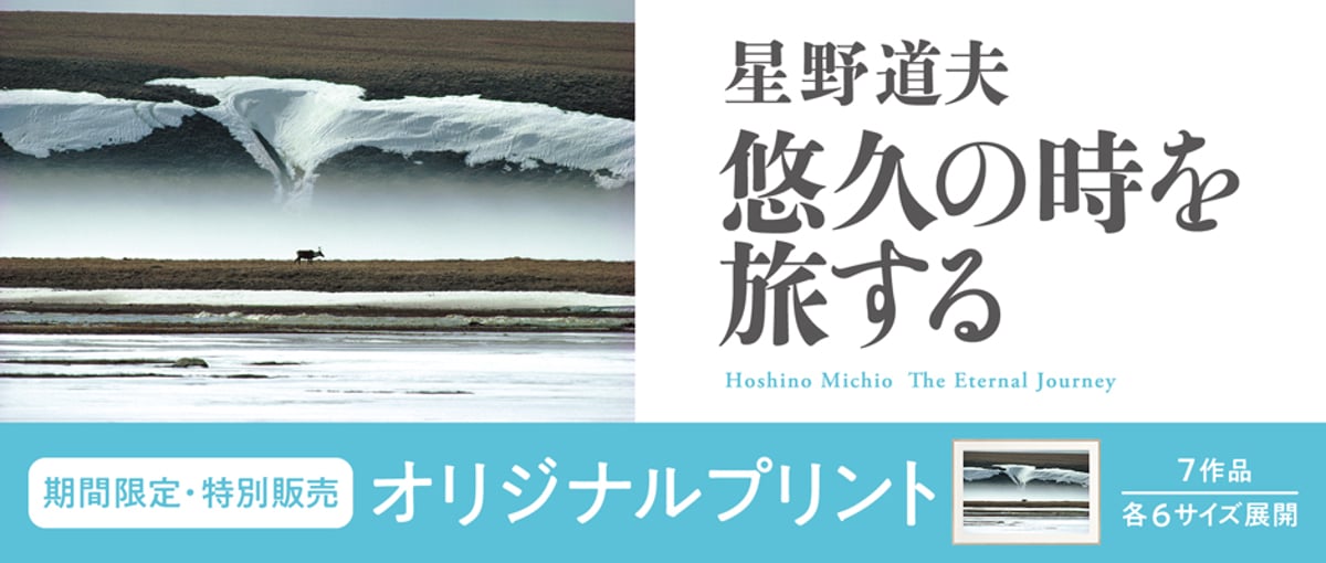 星野道夫「悠久の時を旅する」オリジナルプリント販売についてのお知らせ | Crevis On...