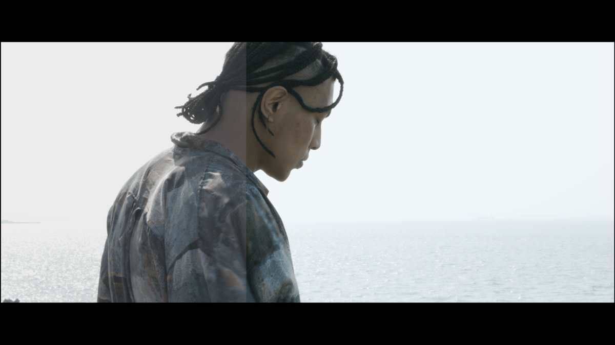 Natural ARRI Look Base LUT Pack for BMPCC4K/6K/...