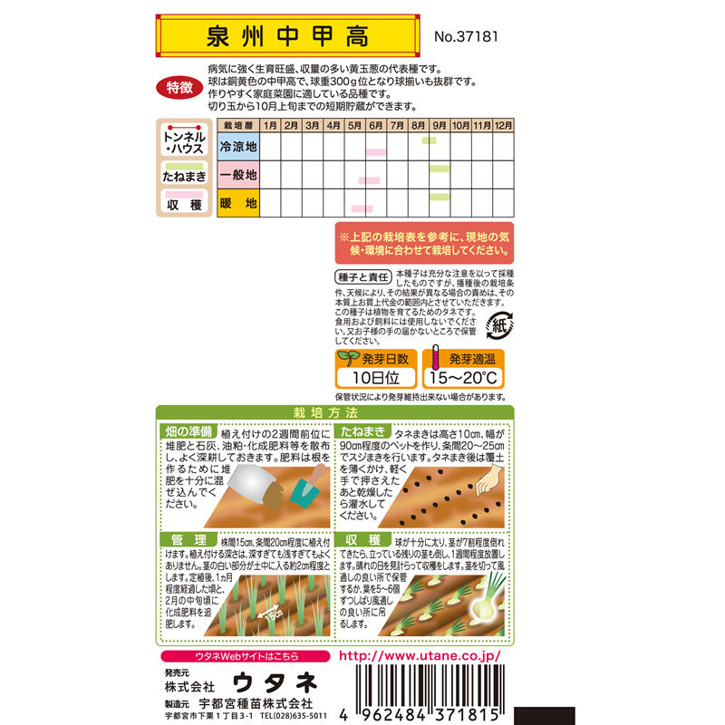 泉州中甲高玉葱(たまねぎ) / 【37181】 | 花さんぽ|種子を 泉州中甲高玉葱(たまねぎ) / 【37181】 | 花さんぽ|種子を