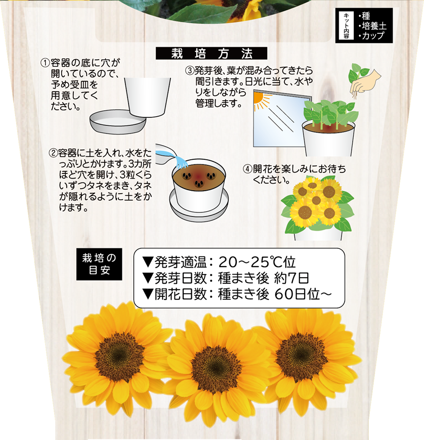 花の栽培キット ミニヒマワリ 【87065】 | 花さんぽ|種子を 花の栽培キット ミニヒマワリ 【87065】 | 花さんぽ|種子を
