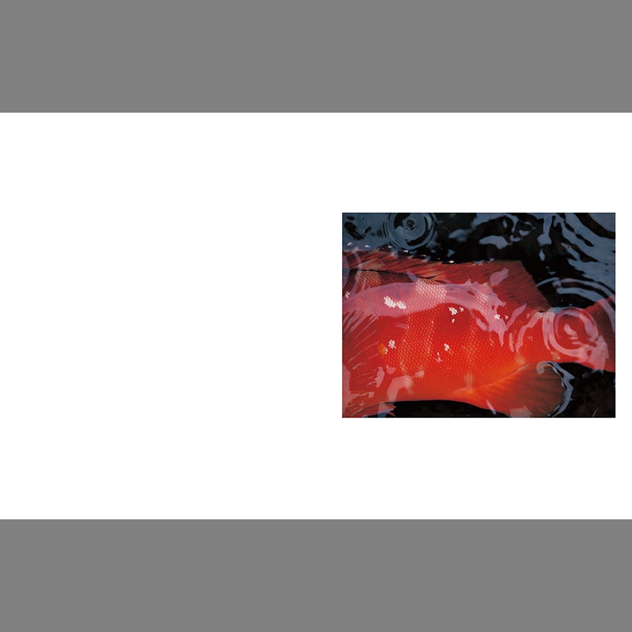 写真集『裸足の蛇』佐藤岳彦 | ulus publishing store