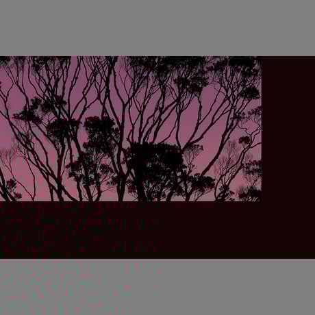 写真集『裸足の蛇』佐藤岳彦 | ulus publishing store