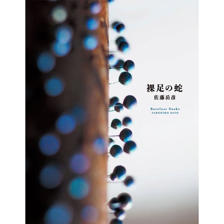 写真集『裸足の蛇』佐藤岳彦 | ulus publishing store
