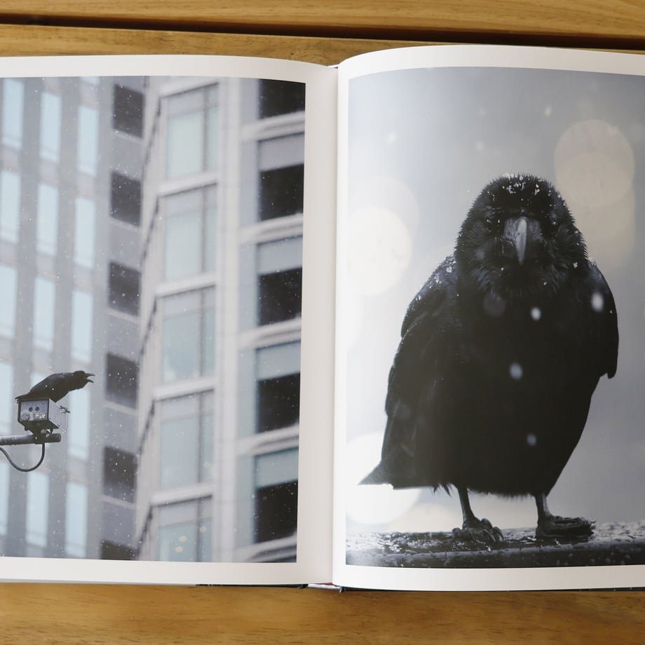 写真集『トウキョウカラス』清水哲朗 | ulus publishing store