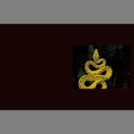 写真集『裸足の蛇』佐藤岳彦 | ulus publishing store