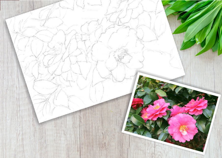 151a 椿の花 | 下絵工房カルトーネ 151a 椿の花 | 下絵工房カルトーネ