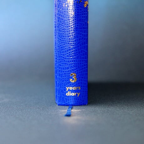 365 365 365 -3years diary- | ICHIKUDO STORE