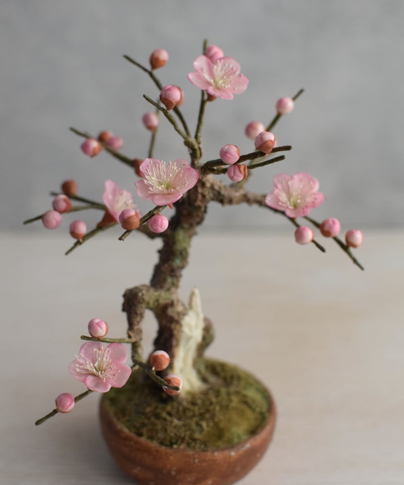 13 梅 淡いピンク | クラフト盆栽美術館 Artcraft Bonsai 13 梅 淡いピンク | クラフト盆栽美術館 Artcraft Bonsai