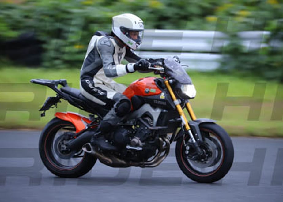 241019_Steady_12_002 | RIDE HI ストア