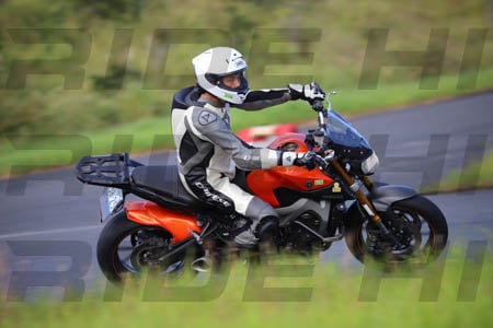 241019_Steady_12_003 | RIDE HI ストア