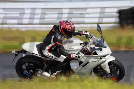 241019_Steady_14_003 | RIDE HI ストア