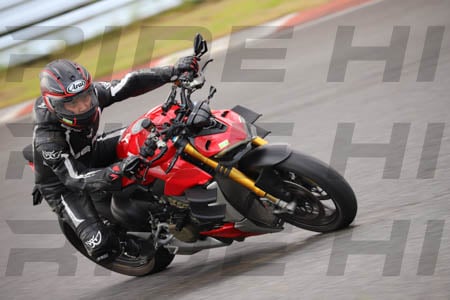 241019_Steady_29_003 | RIDE HI ストア