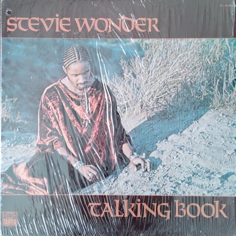 Stevie Wonder / Talking Book | grunge house rec...
