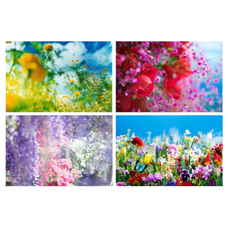 ポストカードブック | MIKA NINAGAWA OFFICIAL STORE ポストカードブック | MIKA NINAGAWA OFFICIAL STORE
