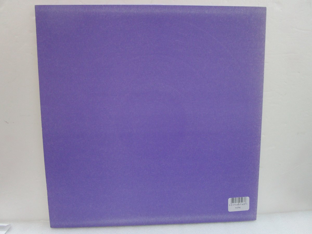 THE LIGHT OF SABA / Lambs Bread Collie 12inch