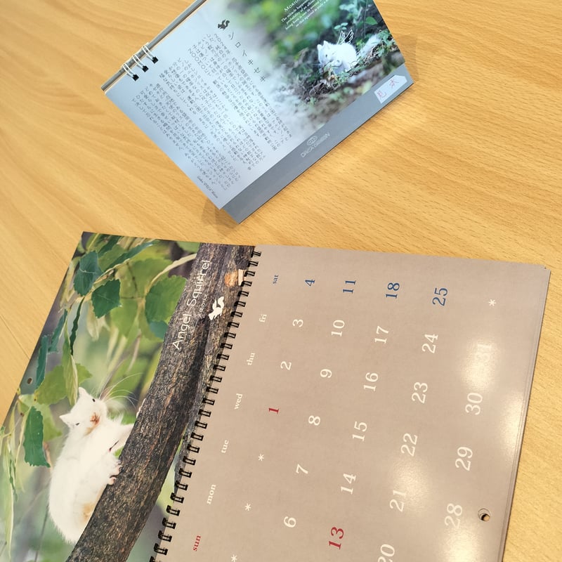 ✨数量限定で再入荷✨2025カレンダー シロイキセキ | ZOOMO SHOP ✨数量限定で再入荷✨2025カレンダー シロイキセキ | ZOOMO SHOP