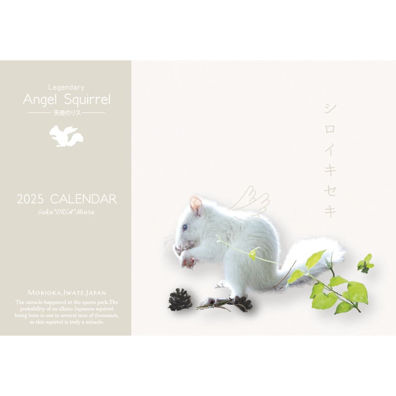 ✨数量限定で再入荷✨2025カレンダー シロイキセキ | ZOOMO SHOP ✨数量限定で再入荷✨2025カレンダー シロイキセキ | ZOOMO SHOP