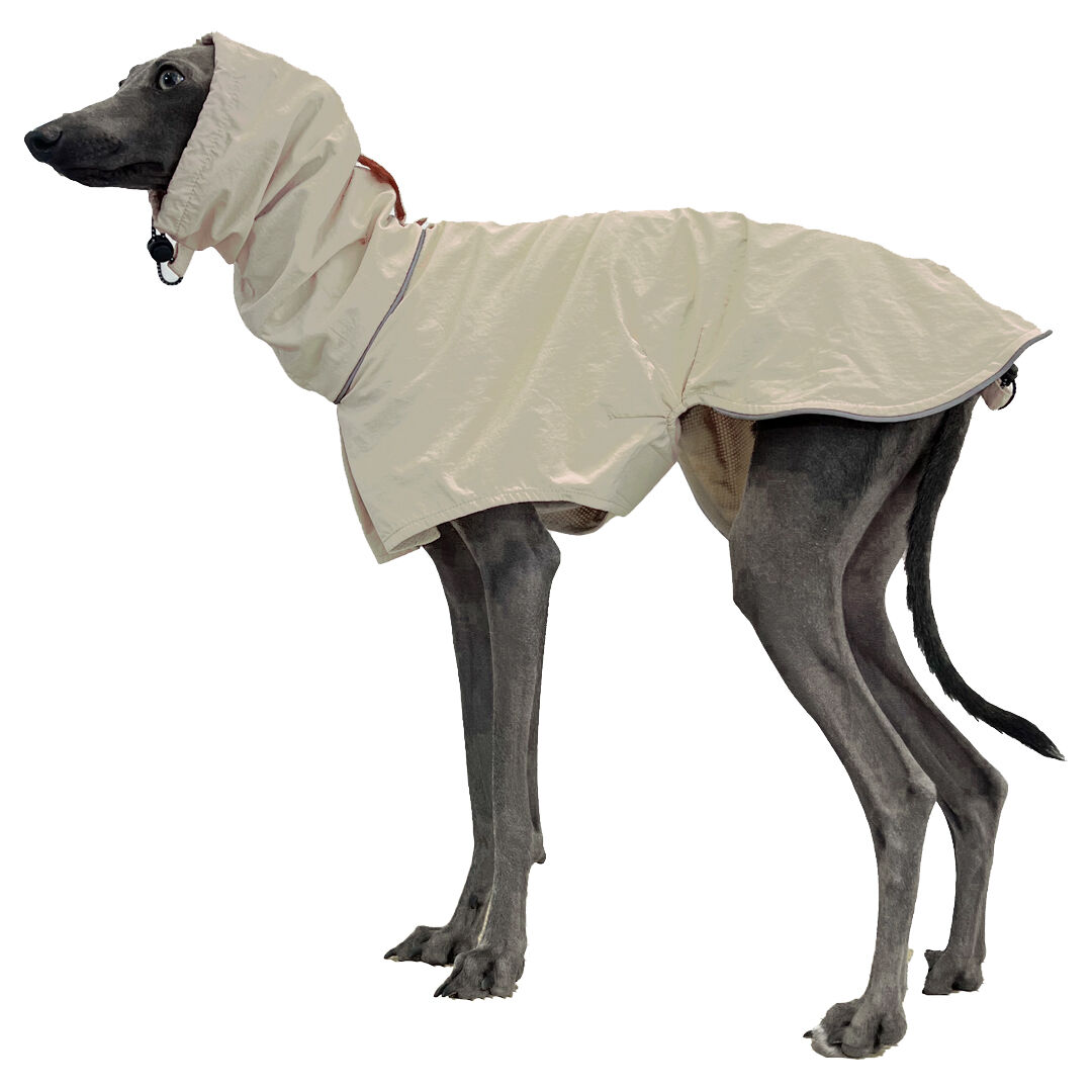フロントタック.レインコート: エクリュ | USHH_Italiangreyhound