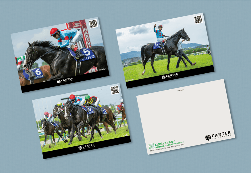 🐎大ヒット御礼🐴イクイノックス特製ポストカード同封！ | CANTER COLLECTION ...