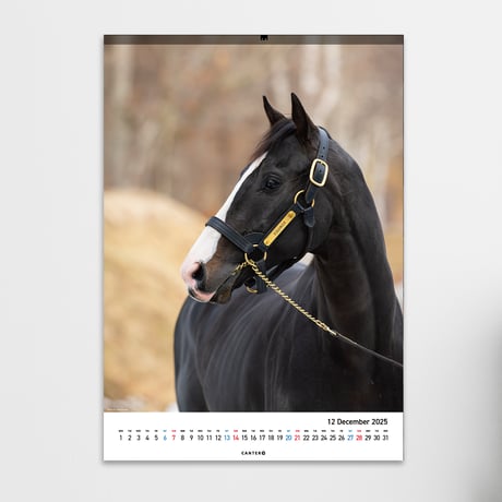 2025年 CANTER COLLECTION オリジナルカレンダー 【A2 壁掛け】 | C...