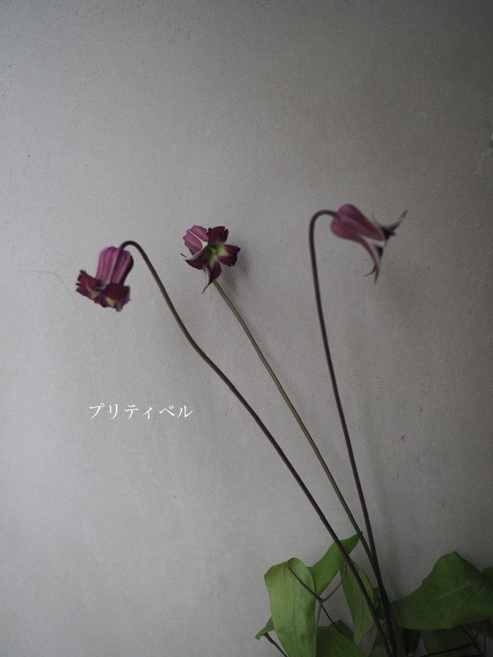 「ベル咲きクレマチスとブルーベリーのブーケ」 Lサイズ | Ours flower