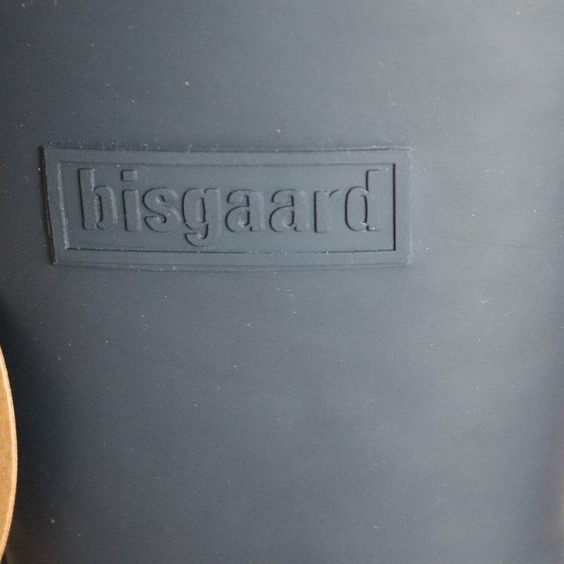 Bisgaard Logo