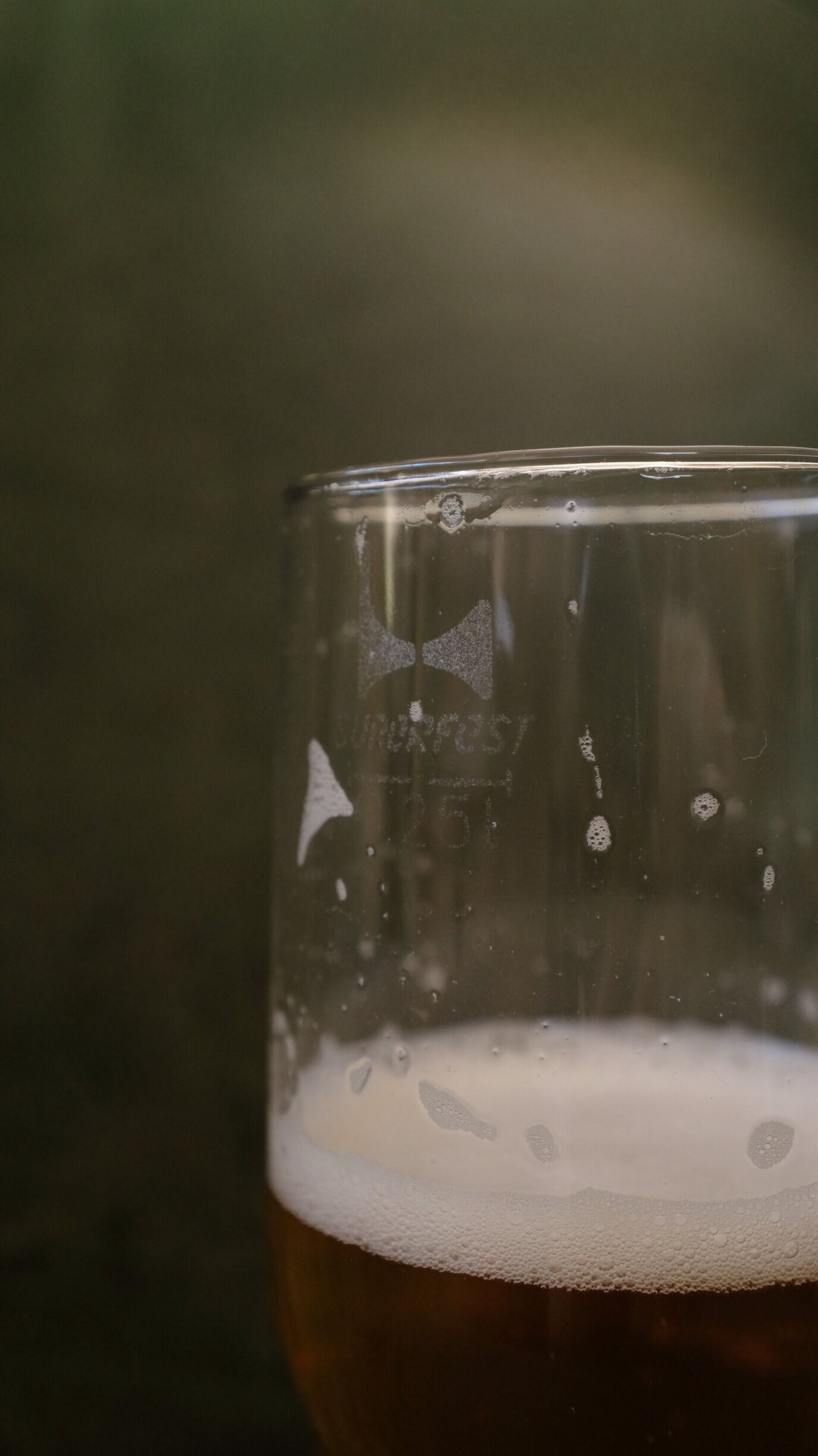 Superfest Beer glass | a green wine glass