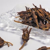 【Salvia plebeia leaf Tea】 Health Tea/1.5 g × 2...