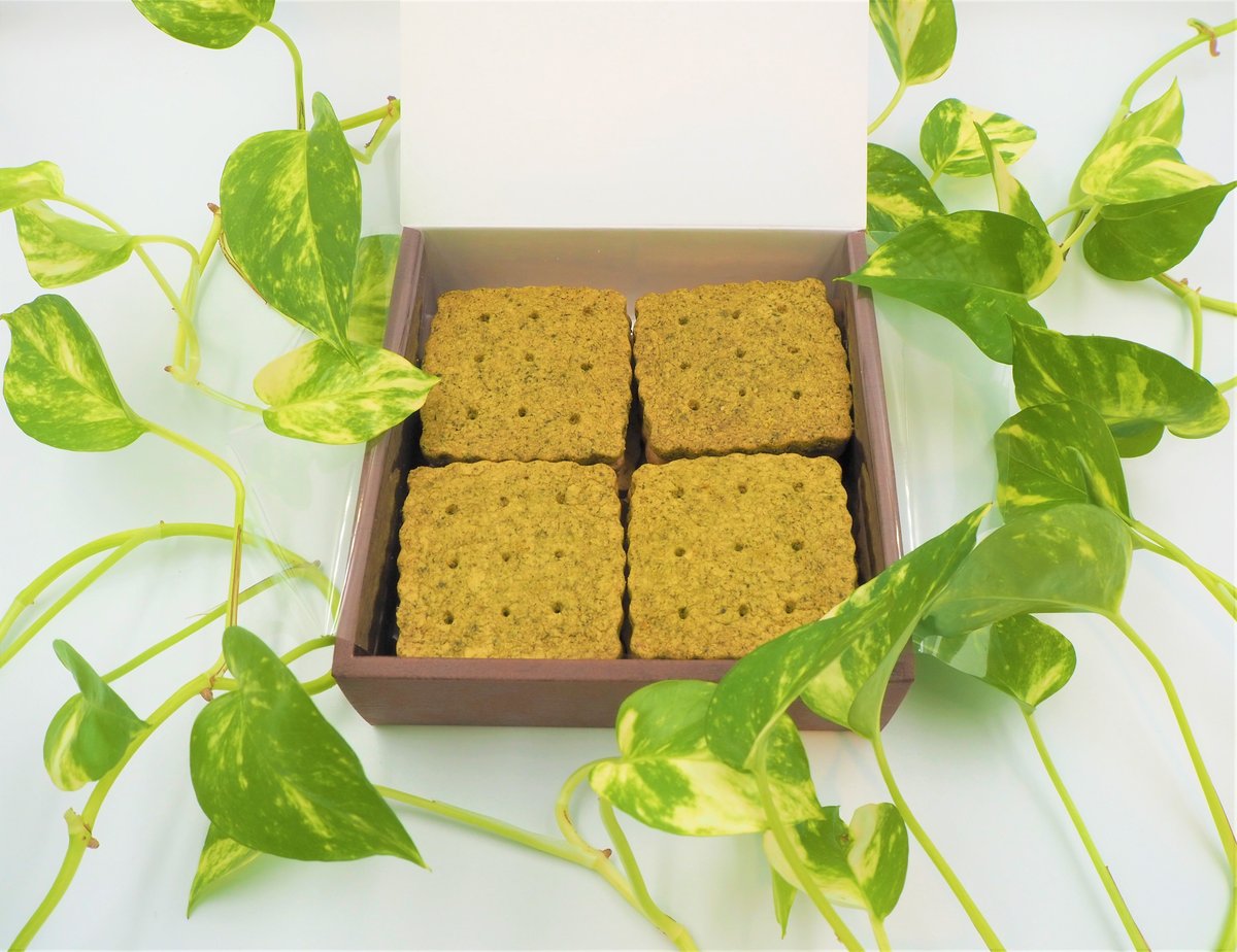 【Herb Short bread】Grass-fed butter 100%(Green T...