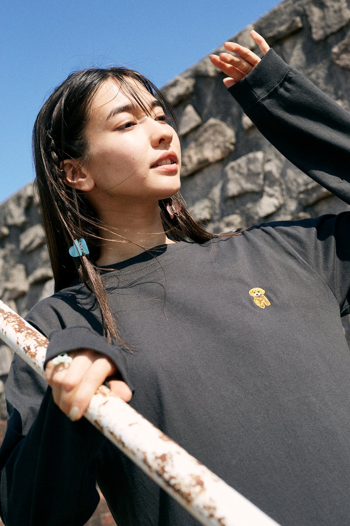 SABLE HEART HAIR CLIPS | NASU FARM VILLAGE ONLI...