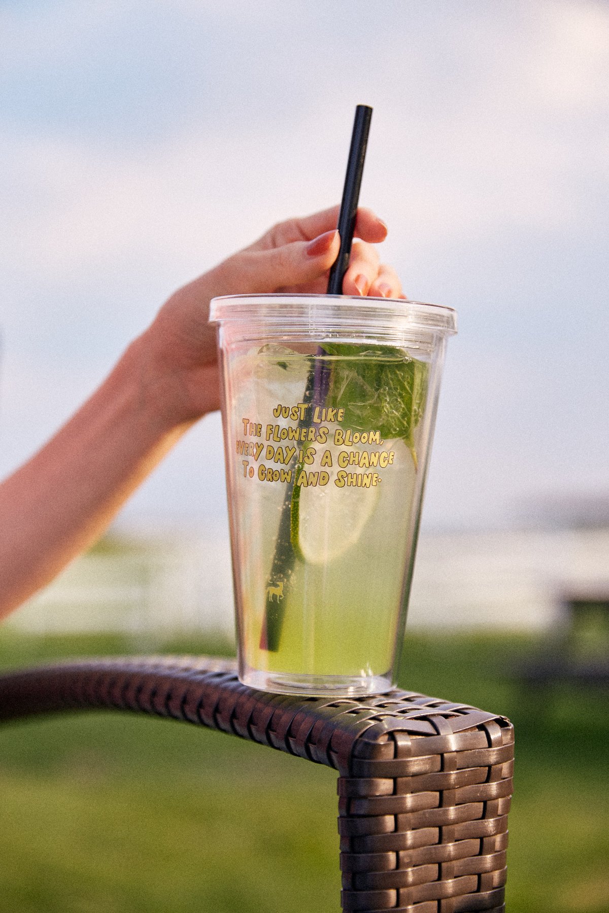 🌼SPRING SABLE🌼 CLEAR TUMBLER | NASU FARM VILLAG...