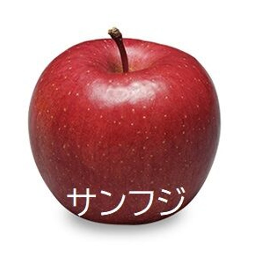 【予約販売】【送料無料】信州産りんご[定期便]（家庭用りんご10㎏×4回） | 千曲農園