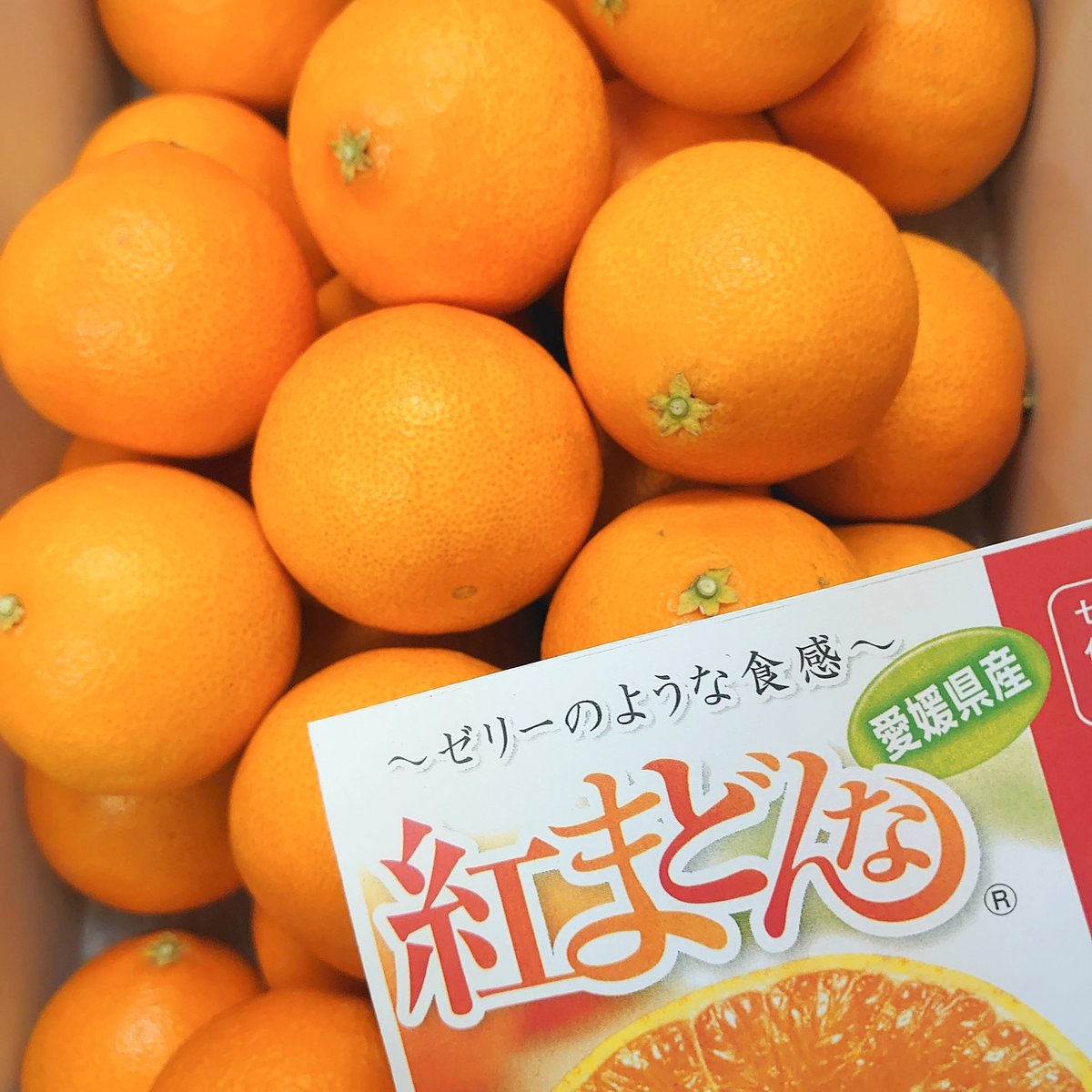 紅まどんなMｻｲｽﾞ5kg2箱 | daitoku