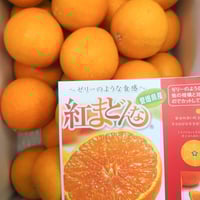 紅まどんなMｻｲｽﾞ5kg2箱 | daitoku