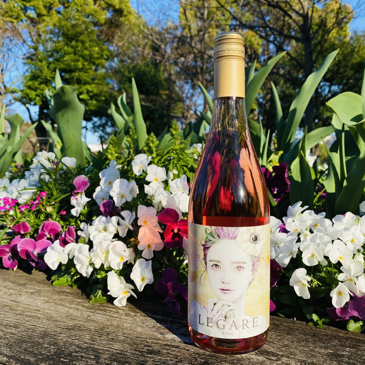 【完売御礼】LEGARE ロゼ 2022 | shizuq store