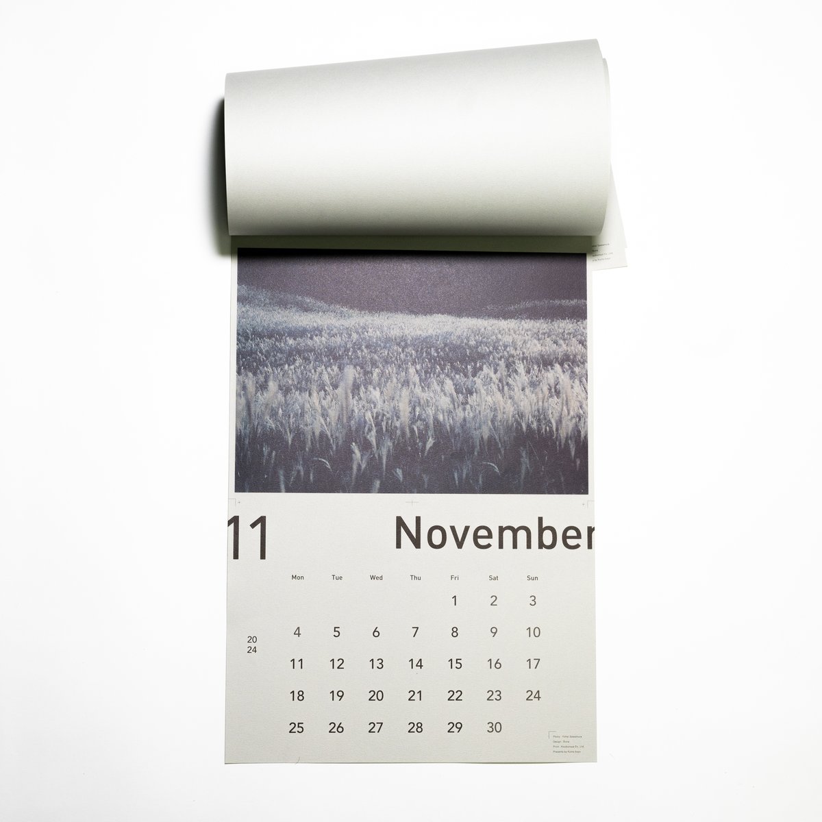 Yohei Sawamura 2024カレンダー | THE Buddy WEB STORE