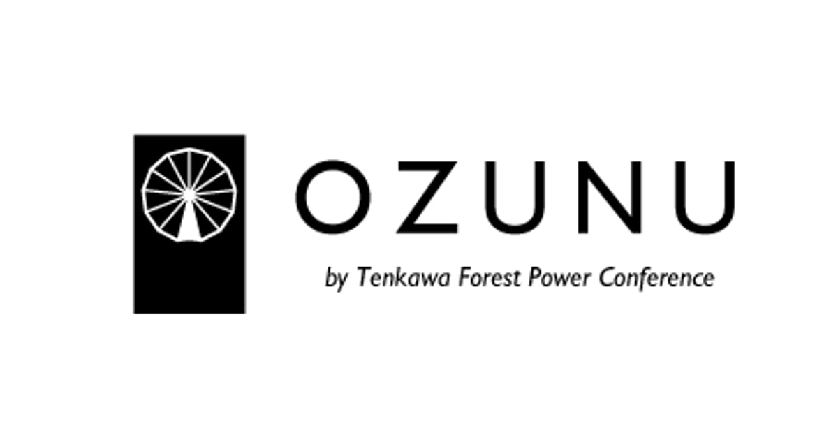 OZUNU STORE