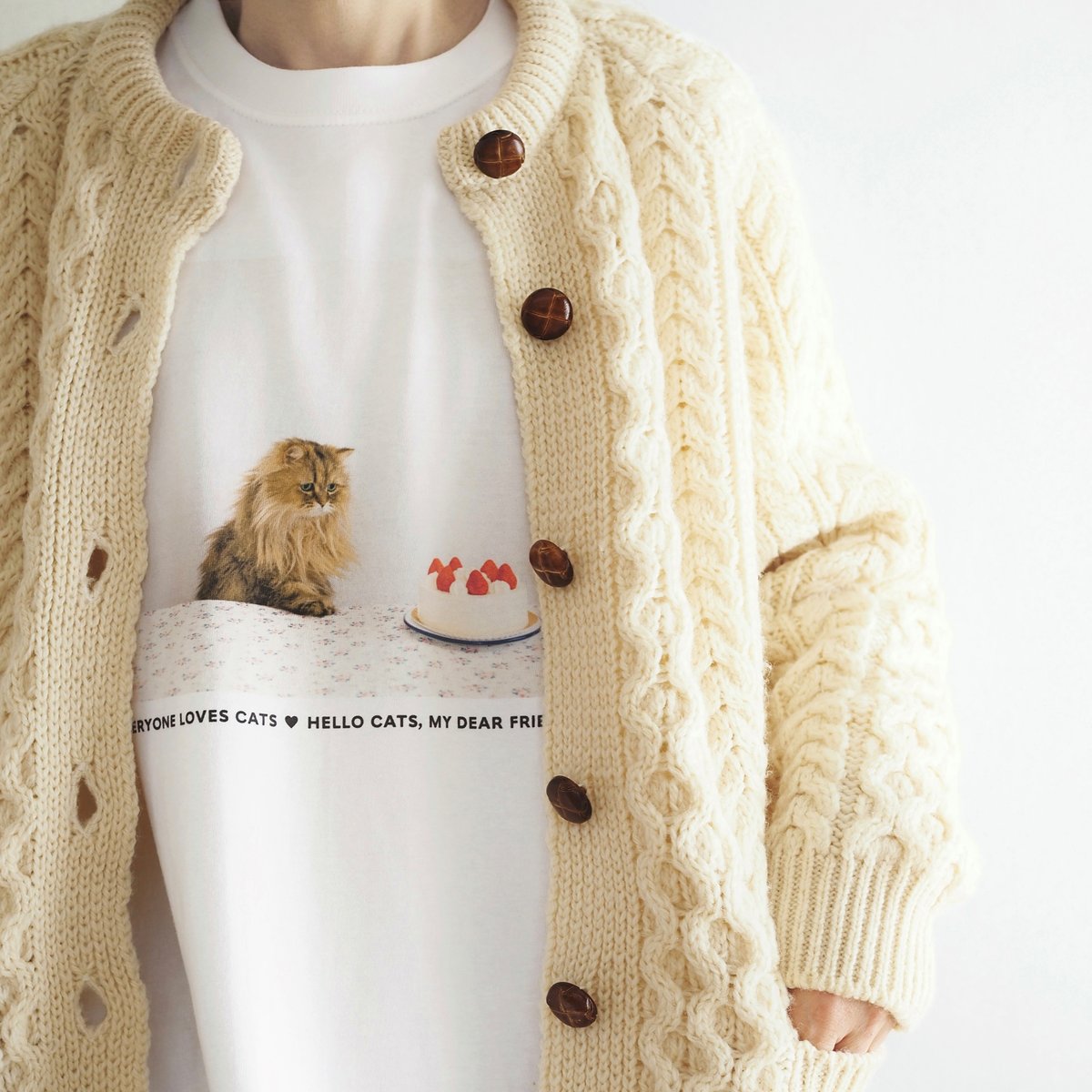 HELLO CATS, MY DEAR FRIENDS ORIGINAL CALENDAR 2...