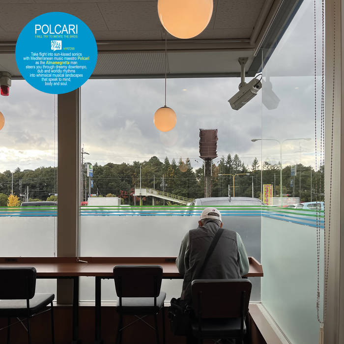 POLCARI - I WILL TRY TO IMITATE THE BIRDS【LP】