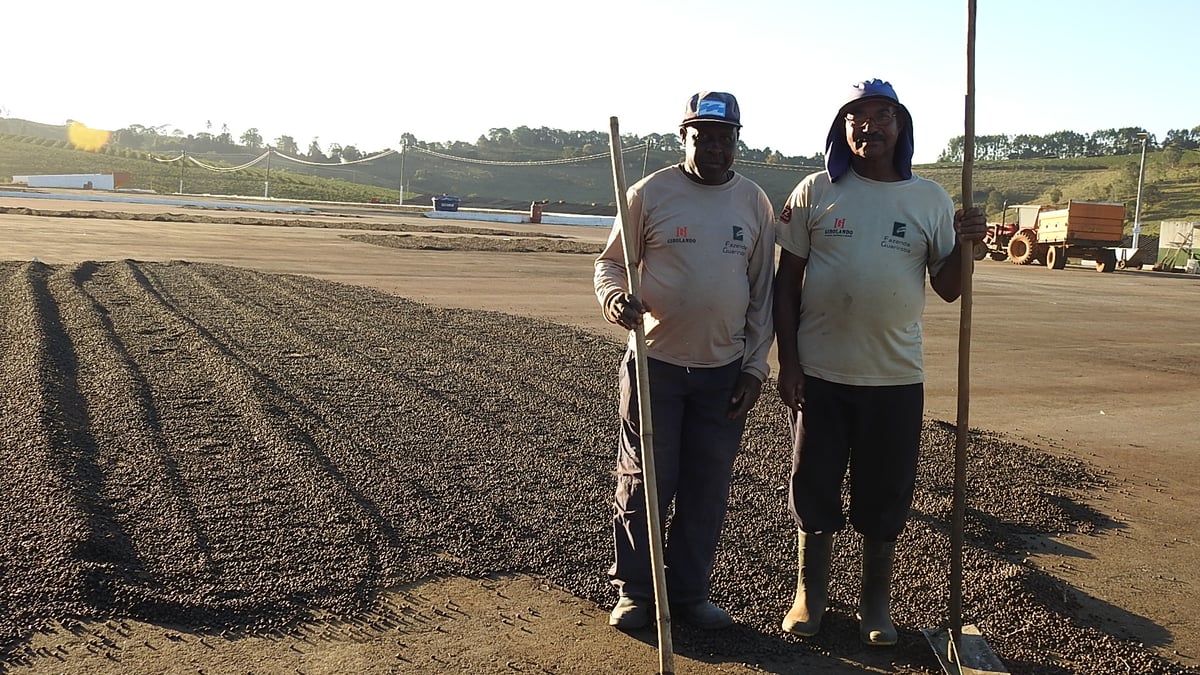 Brazil Fazenda Guariroba Red Catuai | 0123 COFFEE