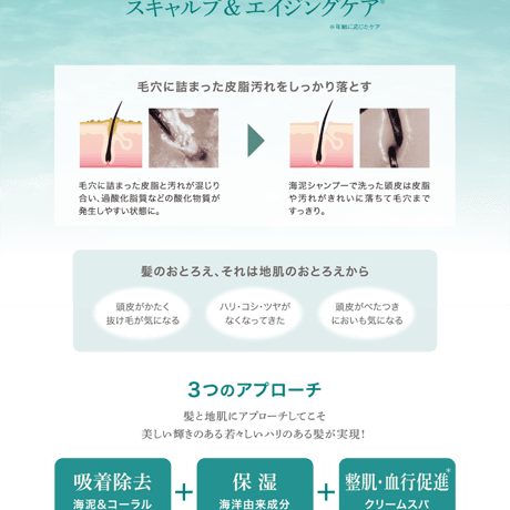 ALG(アルグ) / 海泥シャンプー / 600ml 詰替え用ﾘﾌｨﾙ | tricycle....