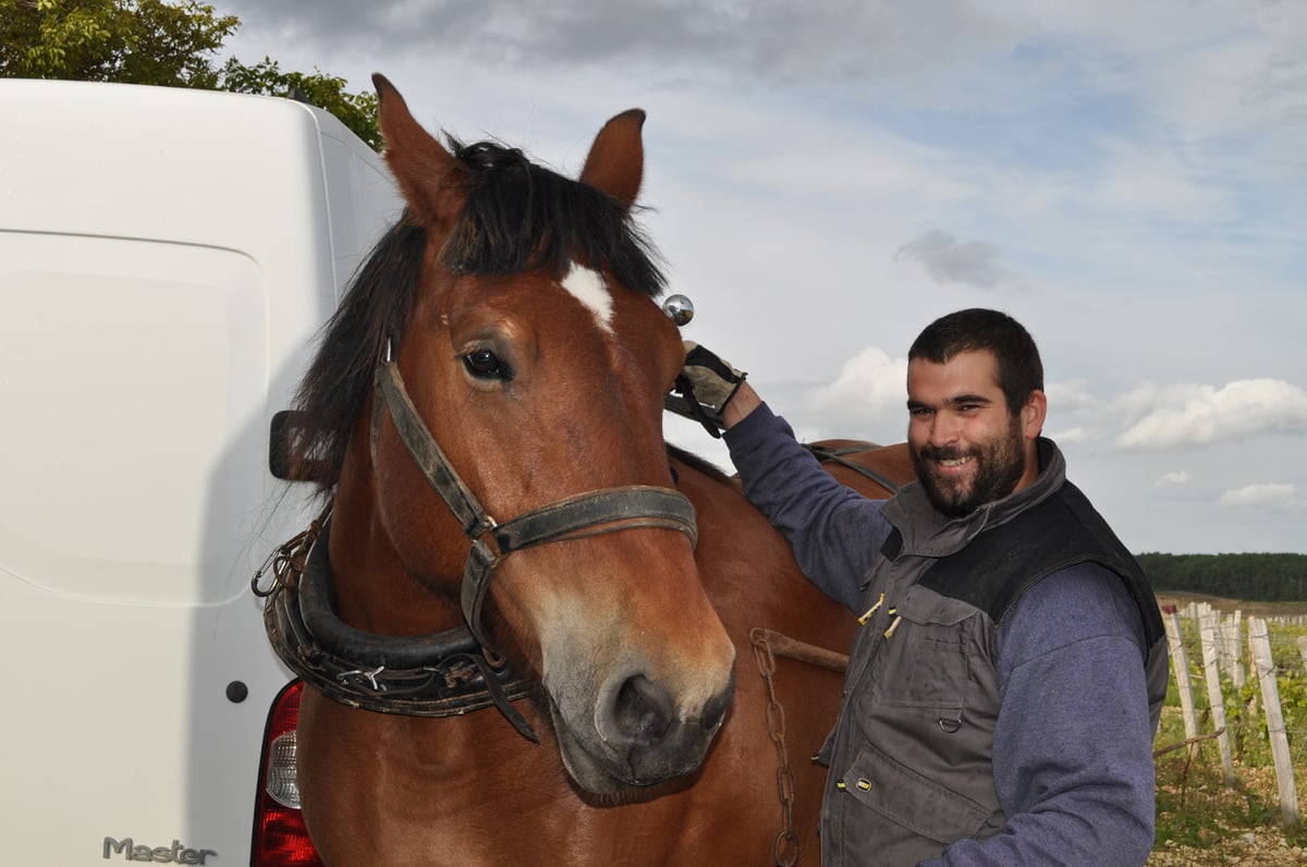 SEBASTIEN RIFFAULT ラインナップ updated on September ...