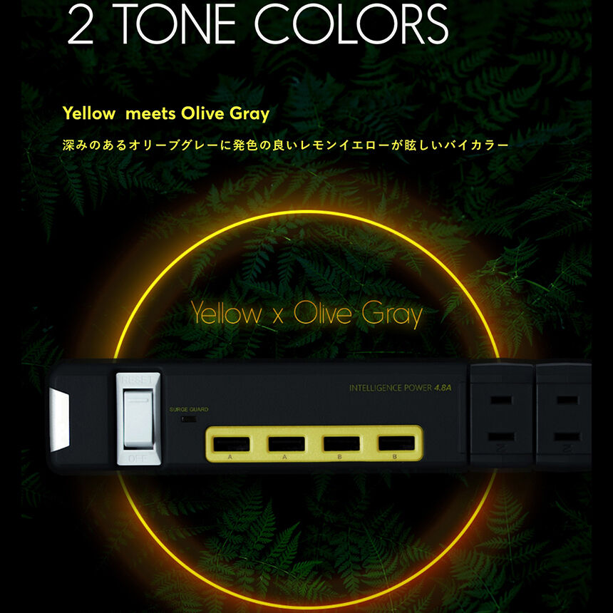 【限定カラー！】TAPKING USB AC6個口 4.8A USB4ポート | Fargo ...