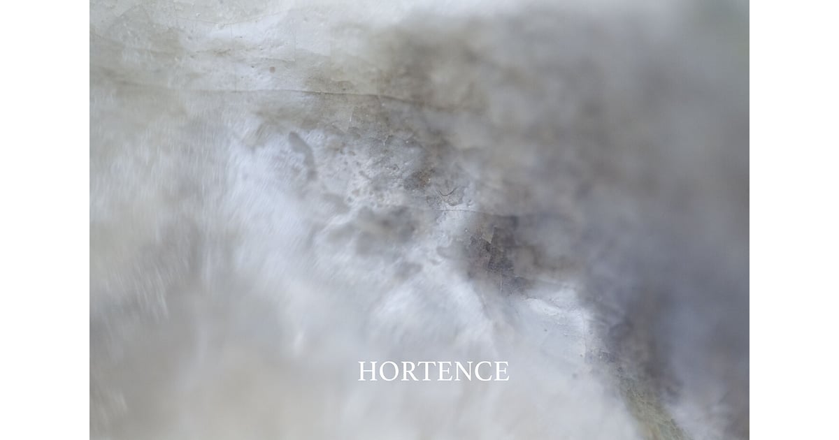 HORTENCE