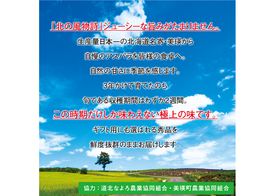 JA協同企画 朝もぎアスパラ【秀品】700g(25本～30本）2セット | フードアソート アクア