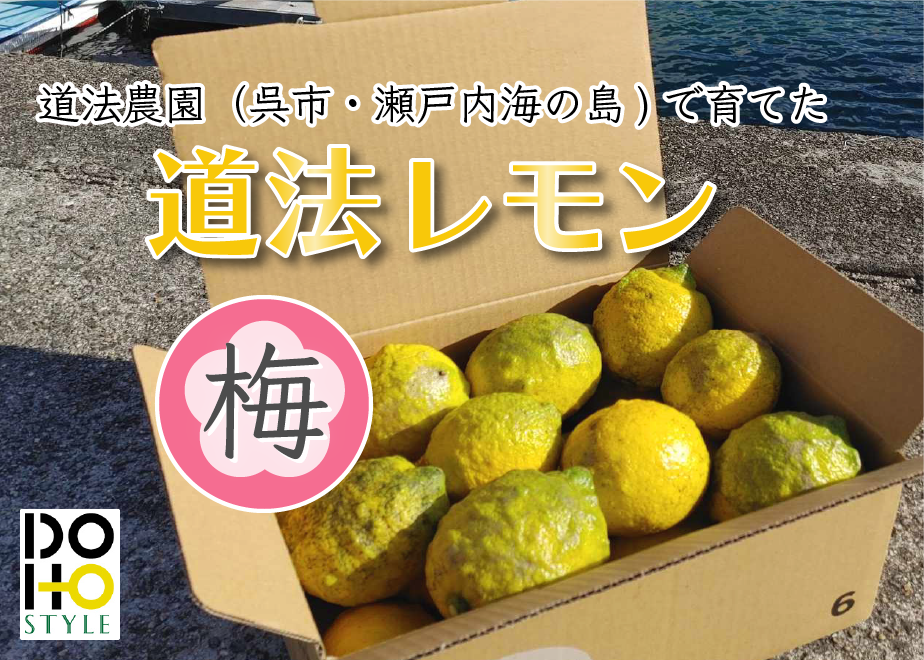 【梅：加工品用】DOHO STYLE 道法レモン | DOHO STYLE STORE
