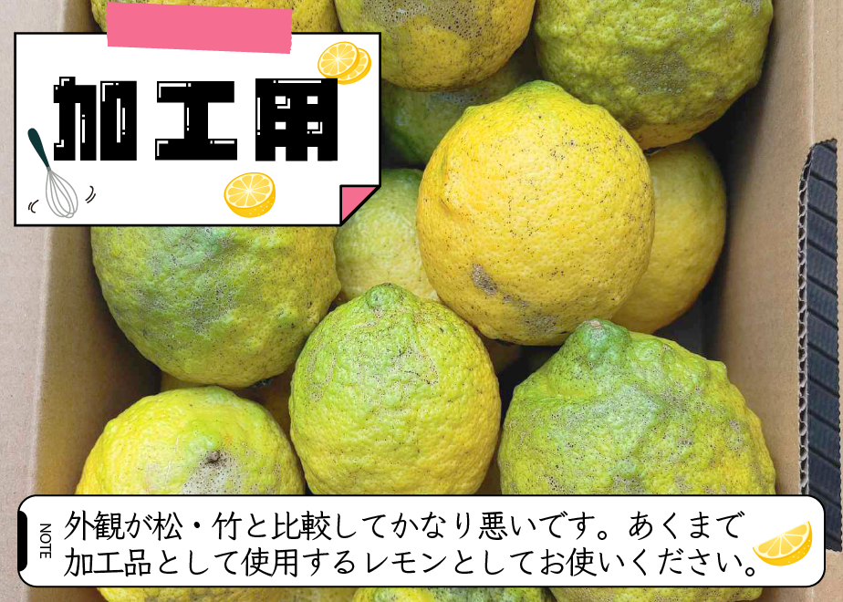 【梅：加工品用】DOHO STYLE 道法レモン | DOHO STYLE STORE