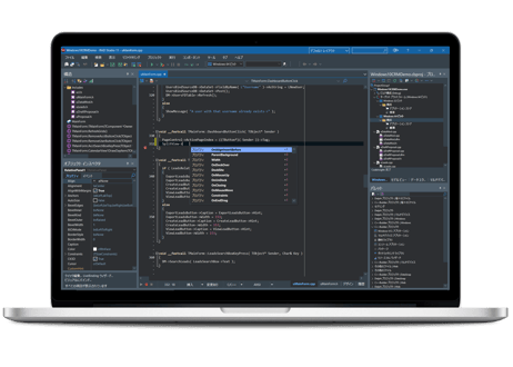 C++Builder 12 Professional | EMBARCADERO DIRECT