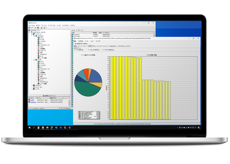 InterBase 2020 Server Edition | EMBARCADERO DIRECT